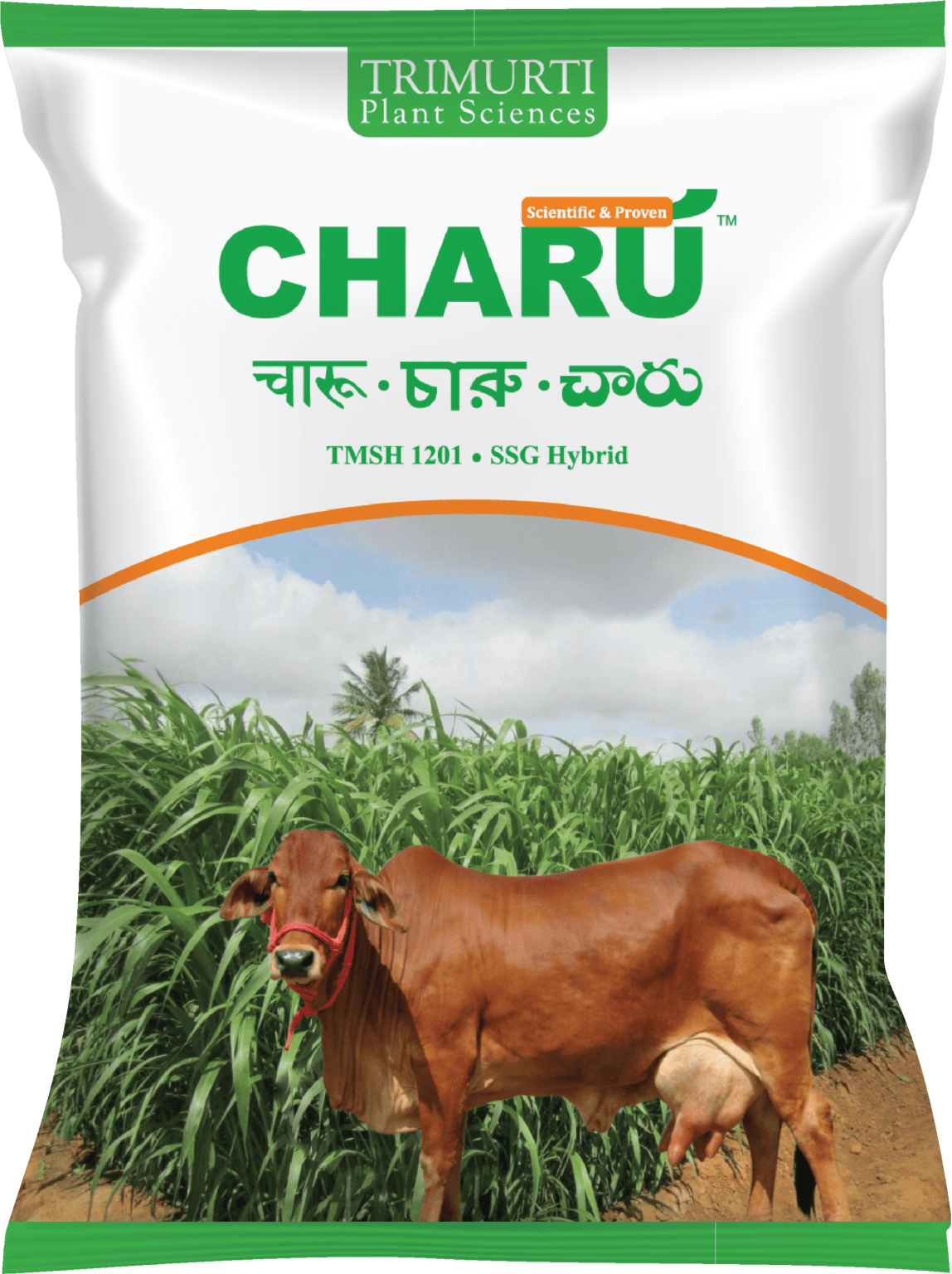 Charu (TMSH 1201) | TriMurti Plant Sciences Private Limited